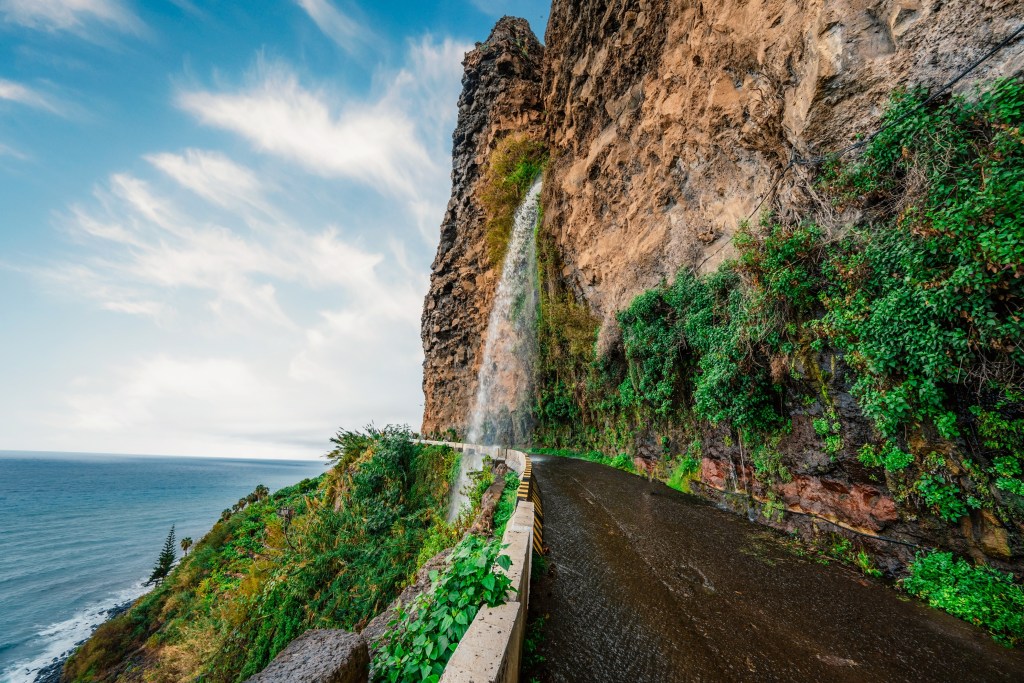 Spring in Madeira: Experiences not to miss - LovelyStay